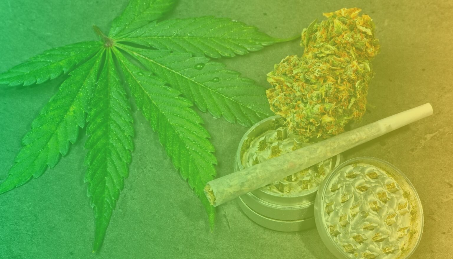 What Are Frosted Buds & How Do You Smoke Them? - Denver, Colorado ...